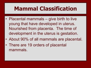 Introduction to Mammals | PPT