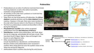 A study of mammals, college level paleontology | PPTX
