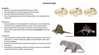 A study of mammals, college level paleontology | PPT