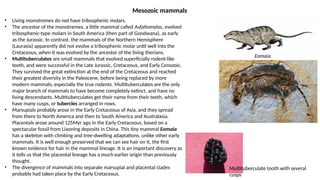 A study of mammals, college level paleontology | PPTX