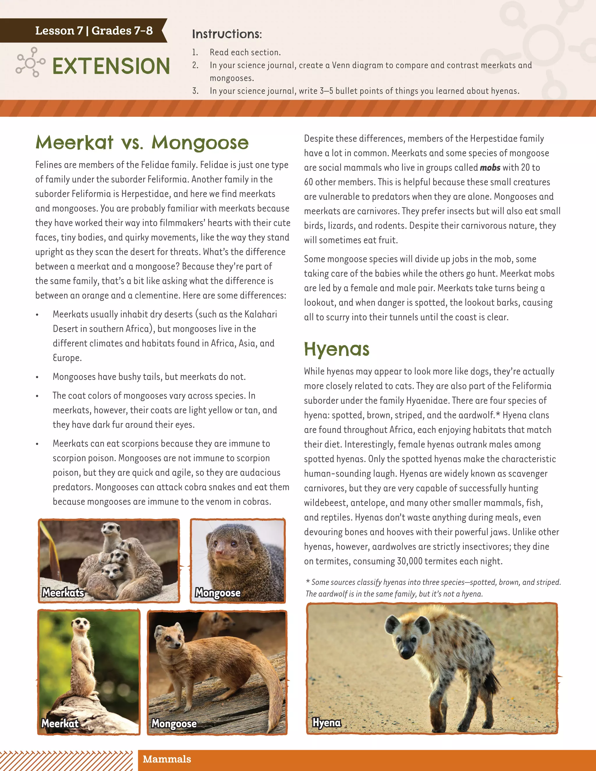 Mammals-SAMPLE-1.0.pdf