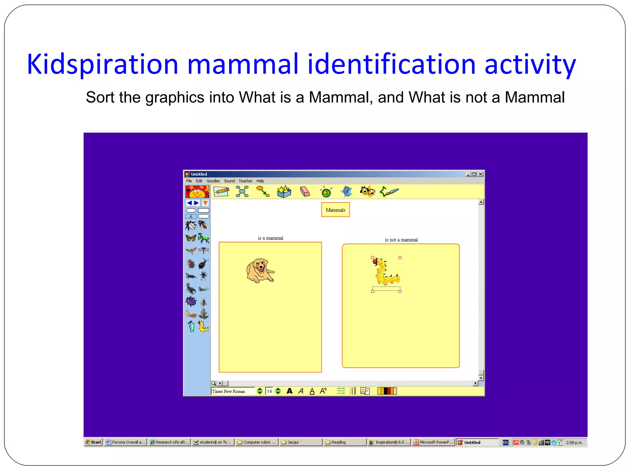 Mammals | PPT