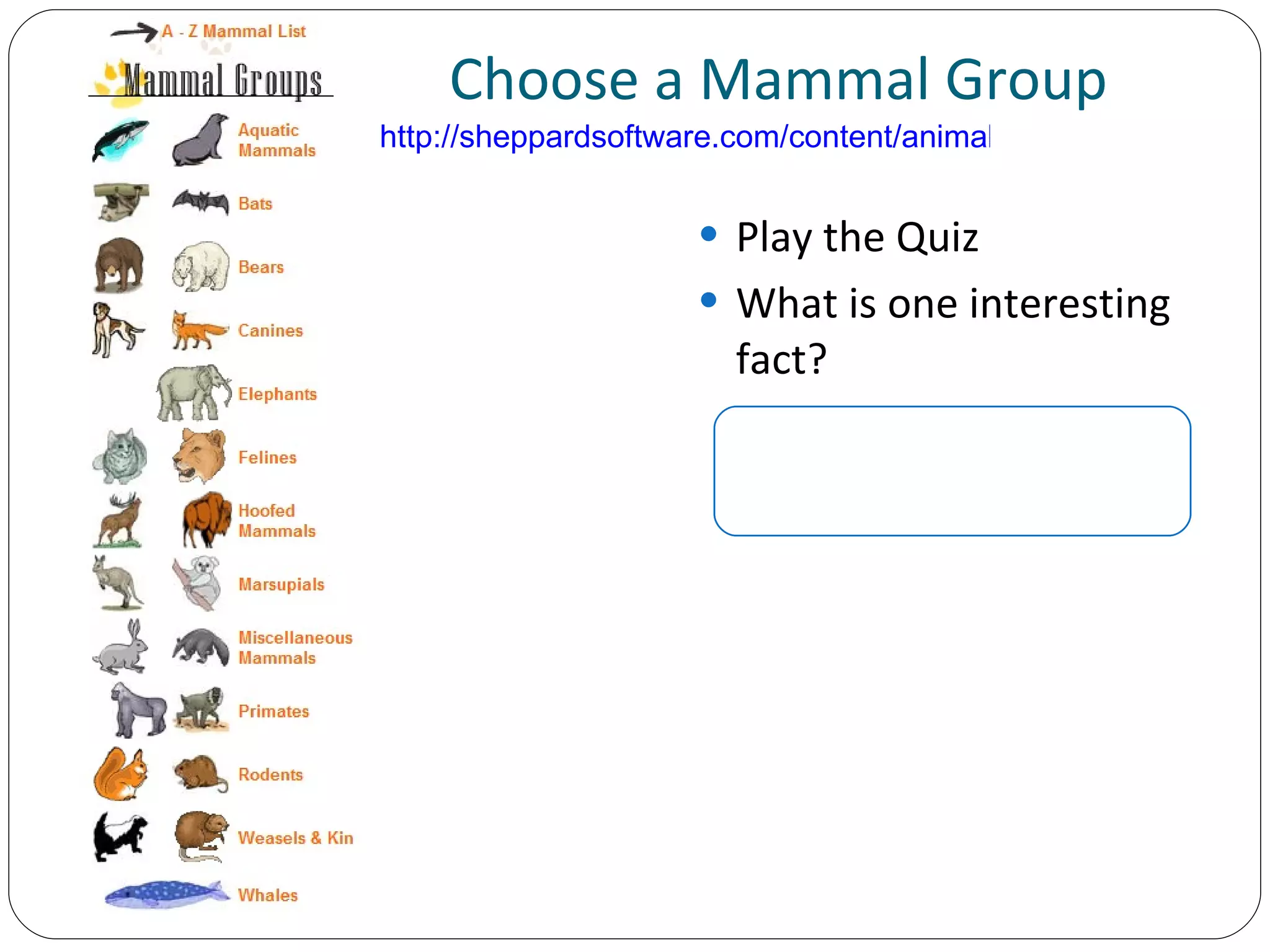 Mammals | PPT