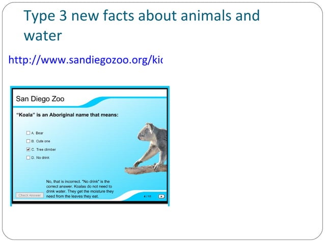 Mammals | PPT
