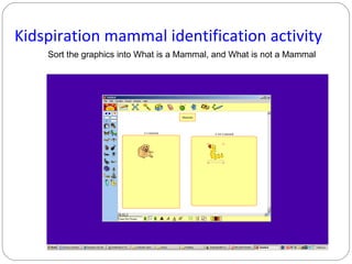 Mammals | PPT