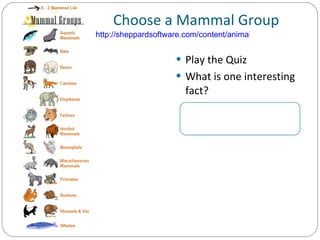 Mammals | PPT