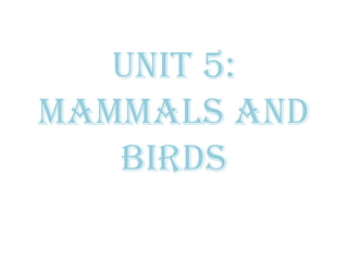 Mammals and birds | PPT