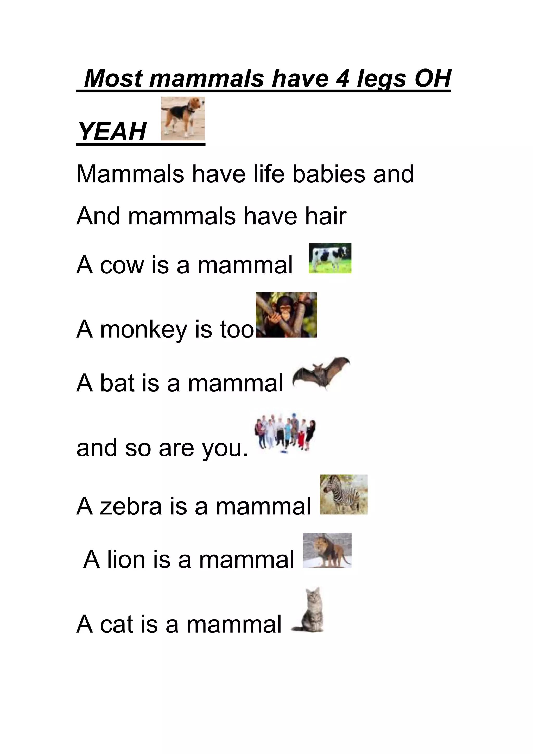 Mammals and birds are vertebrates oh yeah.docxsong and posters | DOCX