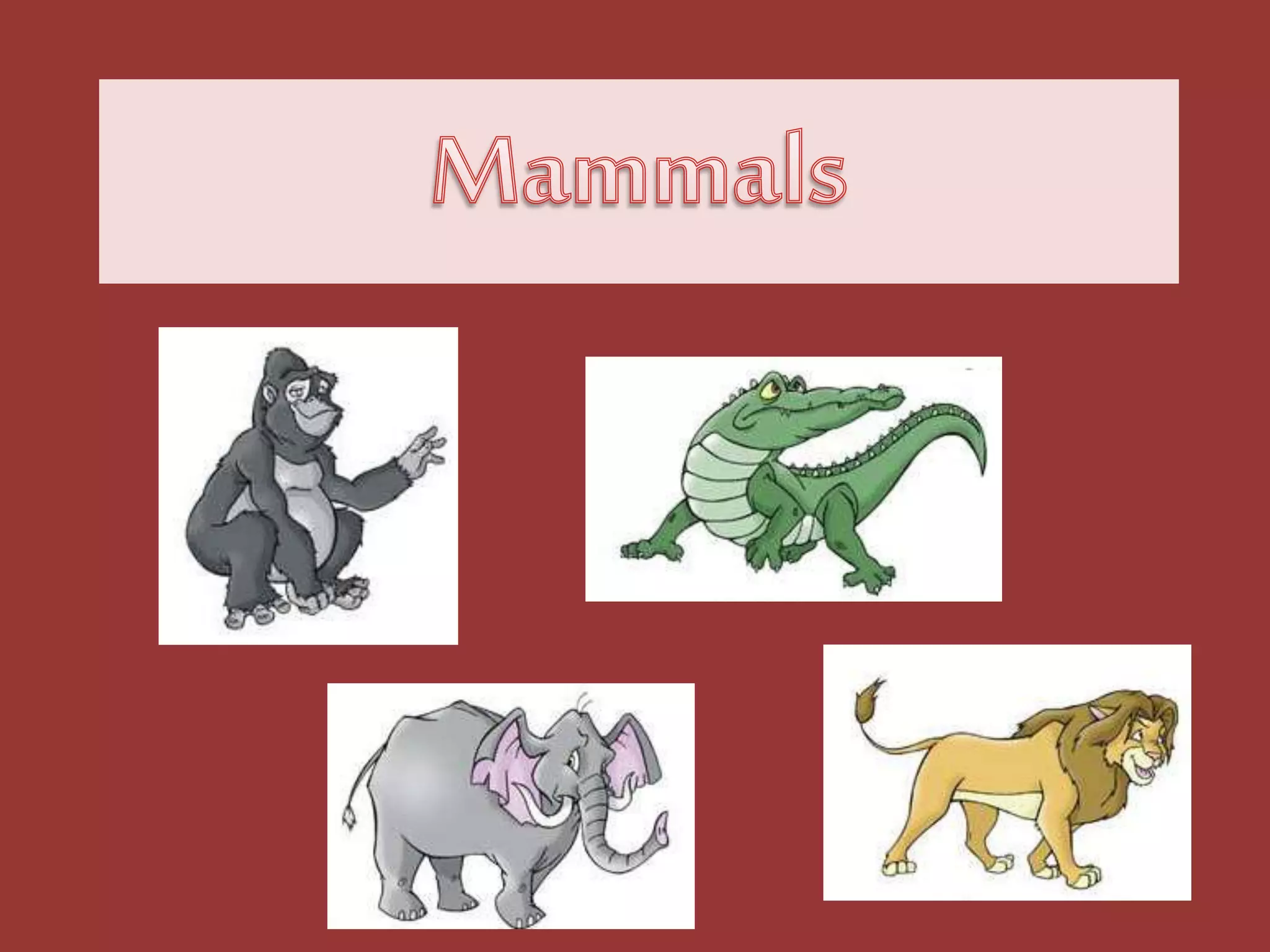 Mammals,birds and fish (1) | PPTX