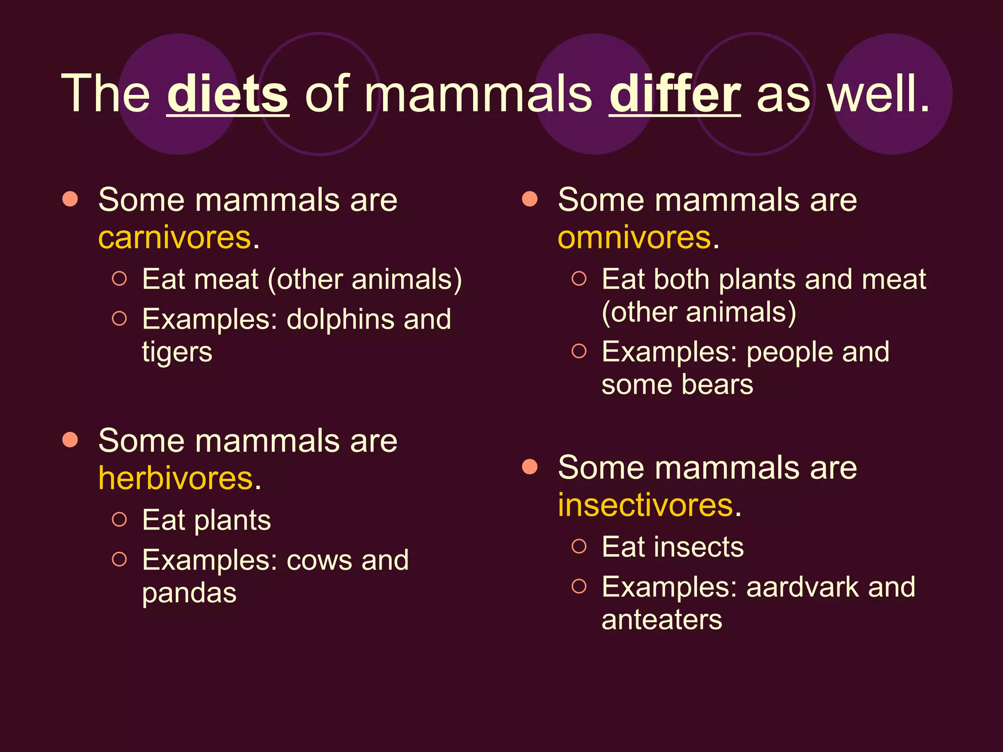 Mammals | PPT
