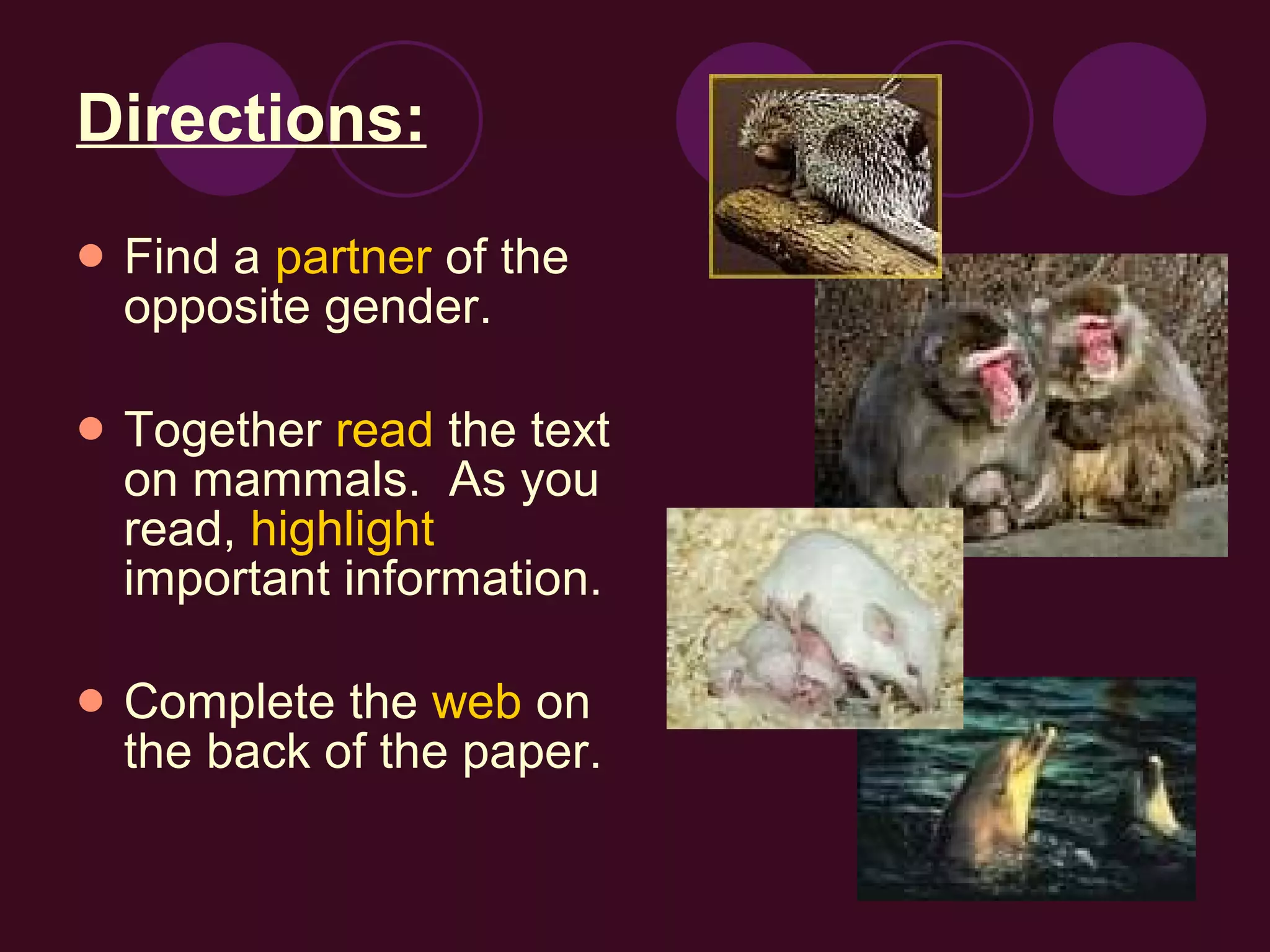 Mammals | PPT