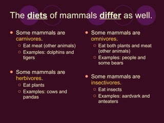 Mammals | PPT
