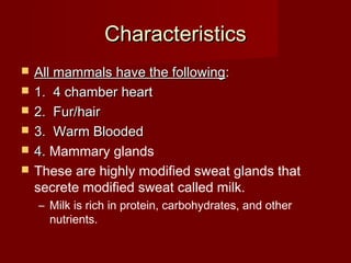 Mammals introduction | PPT