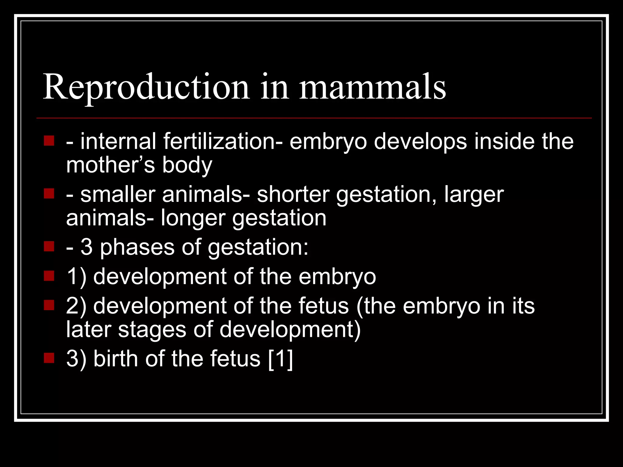 Mammals nona emi yanko 10 5 | PPT