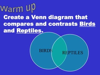 Mammals notes | PPTX