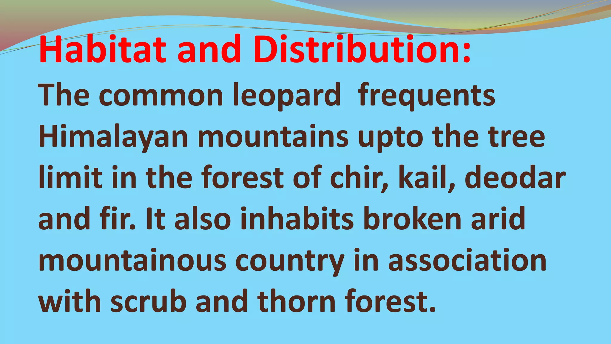 Mammals of pakistan | PPTX