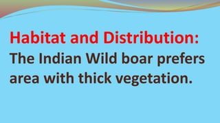Mammals of pakistan | PPTX