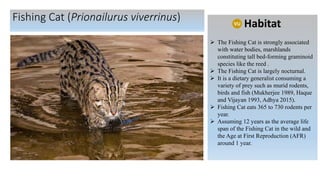 Mammals of pakistan 1 | PPTX
