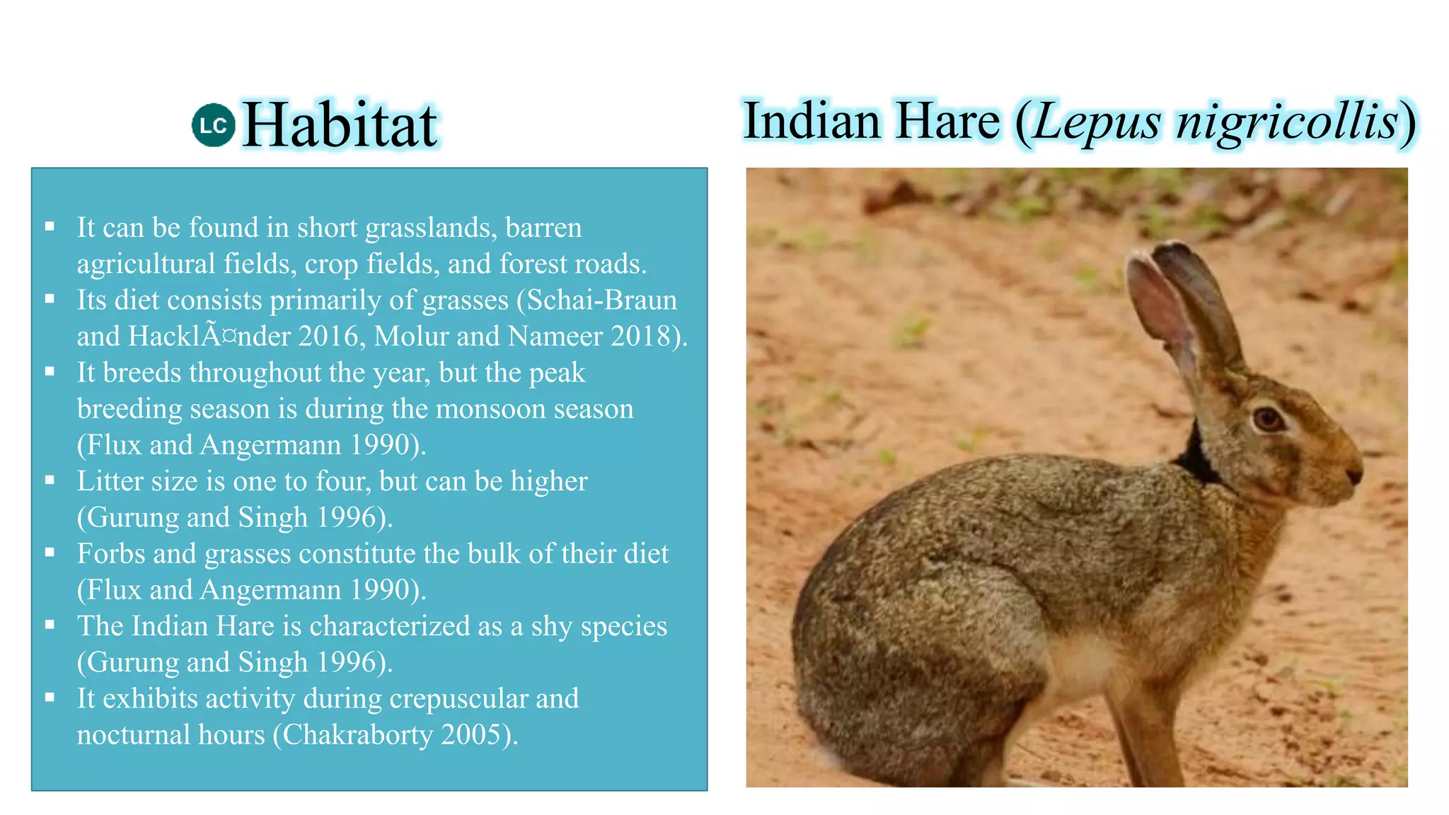 Mammals of pakistan 2 | PPTX