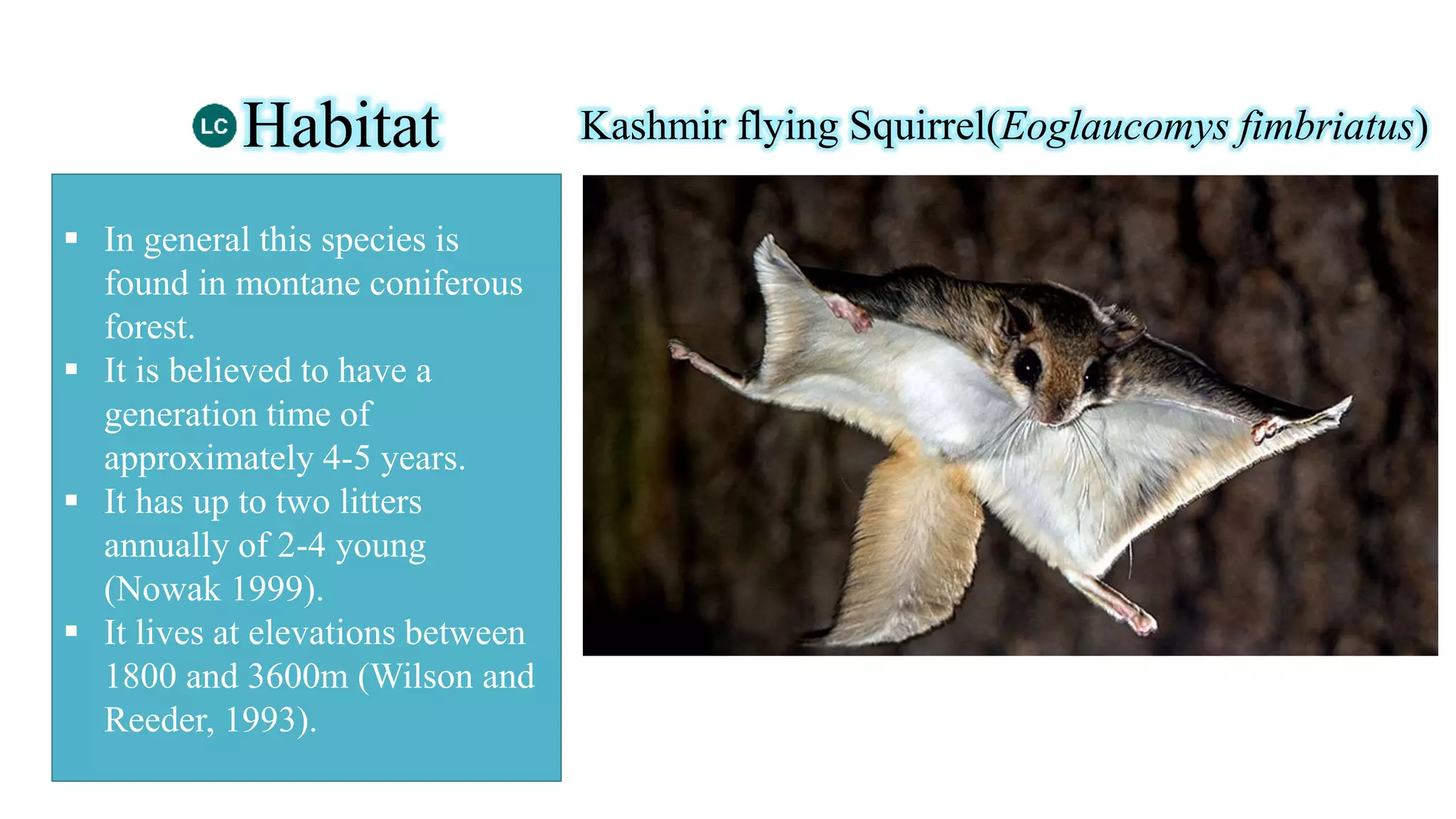 Mammals of pakistan 2 | PPTX
