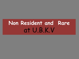 Mammals of ubkv (29 slides) | PPT