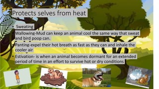 Mammals powerpoint | PPTX