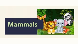 Mammals power point for grade three students. | PPTX