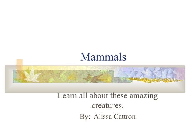 Mammals presentation | PPT | Large Animals | Pets