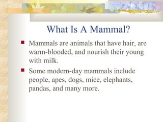 Mammals presentation | PPT