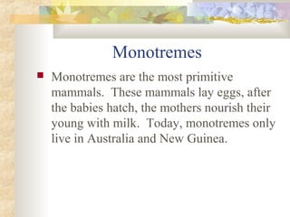 Mammals presentation | PPT