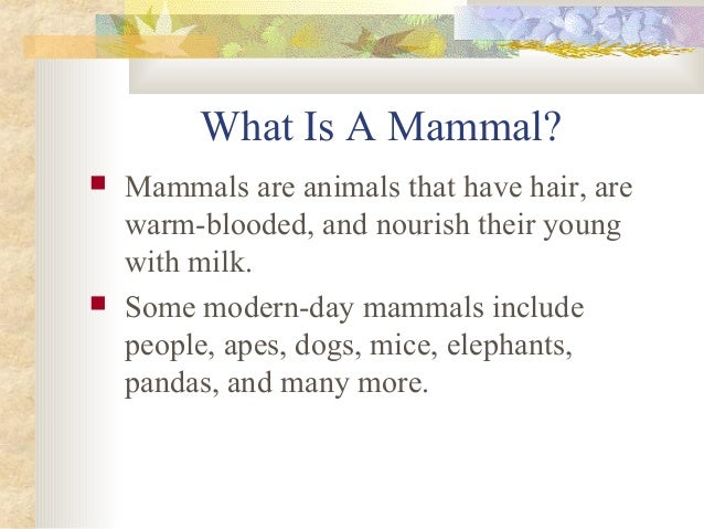 Mammals Meaning