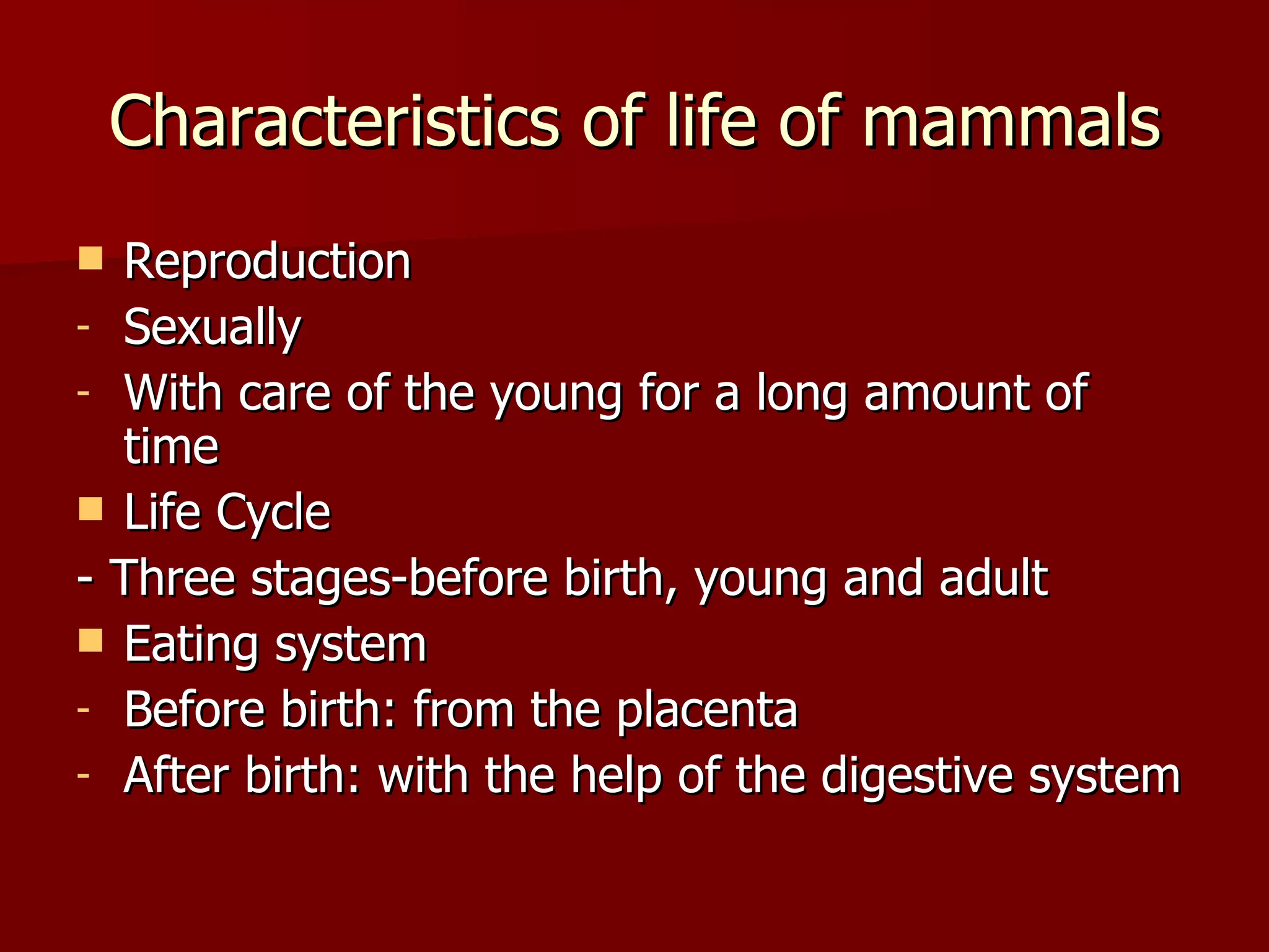 Mammals radovanov popov stoyanova 10 6 | PPT
