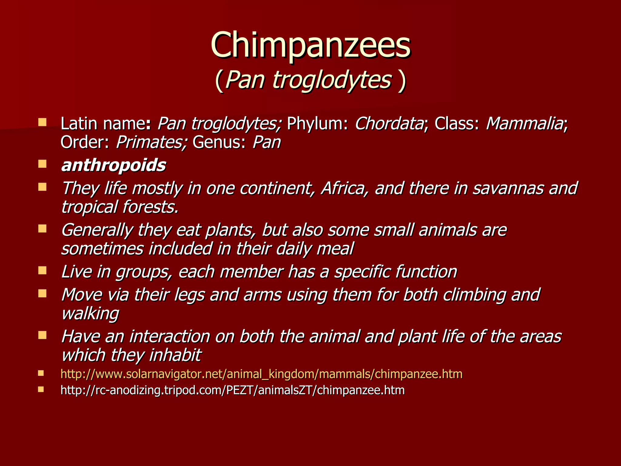 Mammals radovanov popov stoyanova 10 6 | PPT