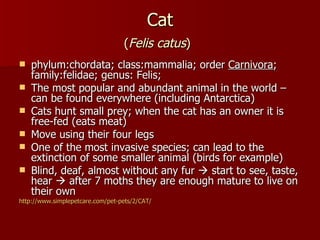 Mammals radovanov popov stoyanova 10 6 | PPT | Biological Sciences ...