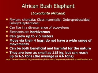 Mammals radovanov popov stoyanova 10 6 | PPT