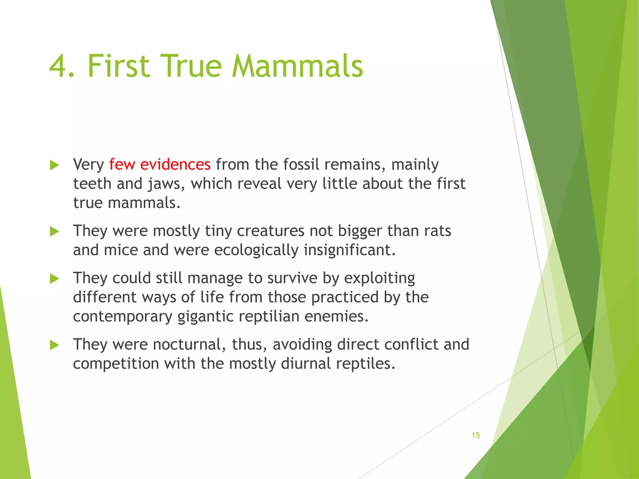 Mammals stomach and dentition | PPTX