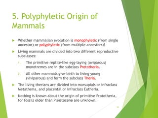 Mammals stomach and dentition | PPTX