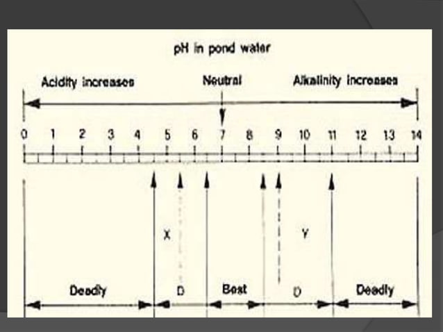 physical and chemical parameters of water for fish pond | PPTX | Fish ...