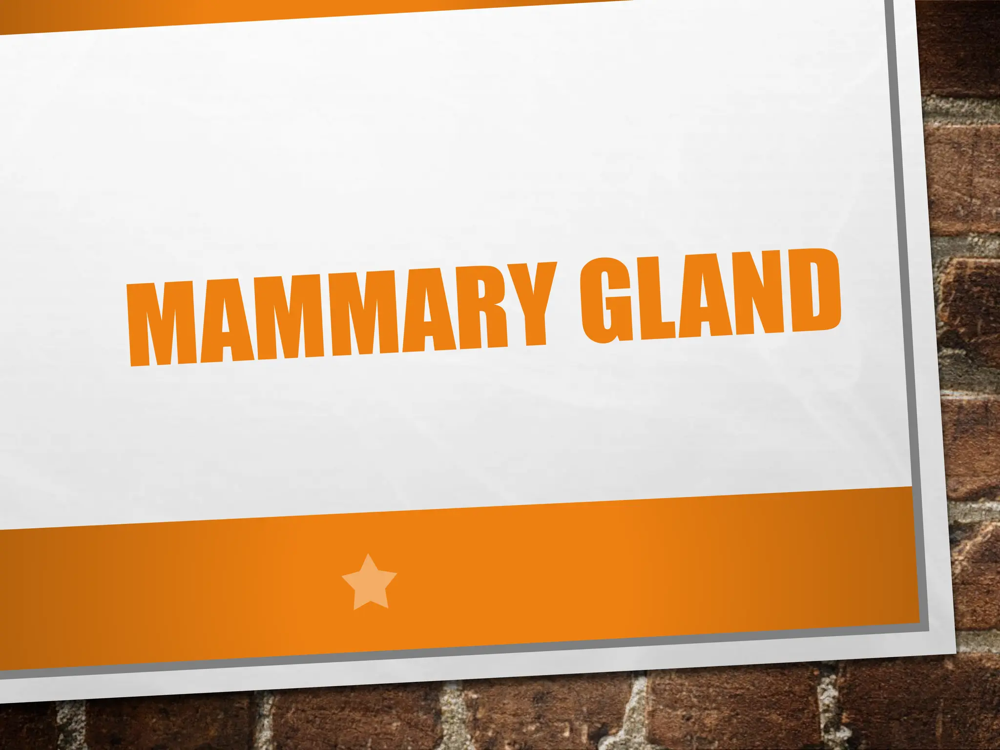 Mammary Gland Lecture Lab Histology Pdf