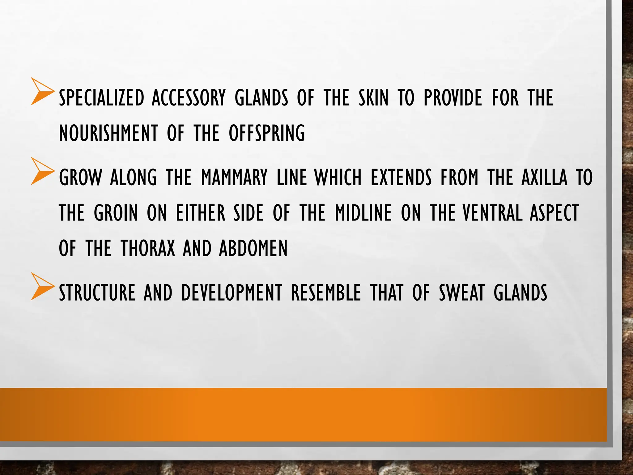 Mammary-Gland lecture-lab histology .pdf