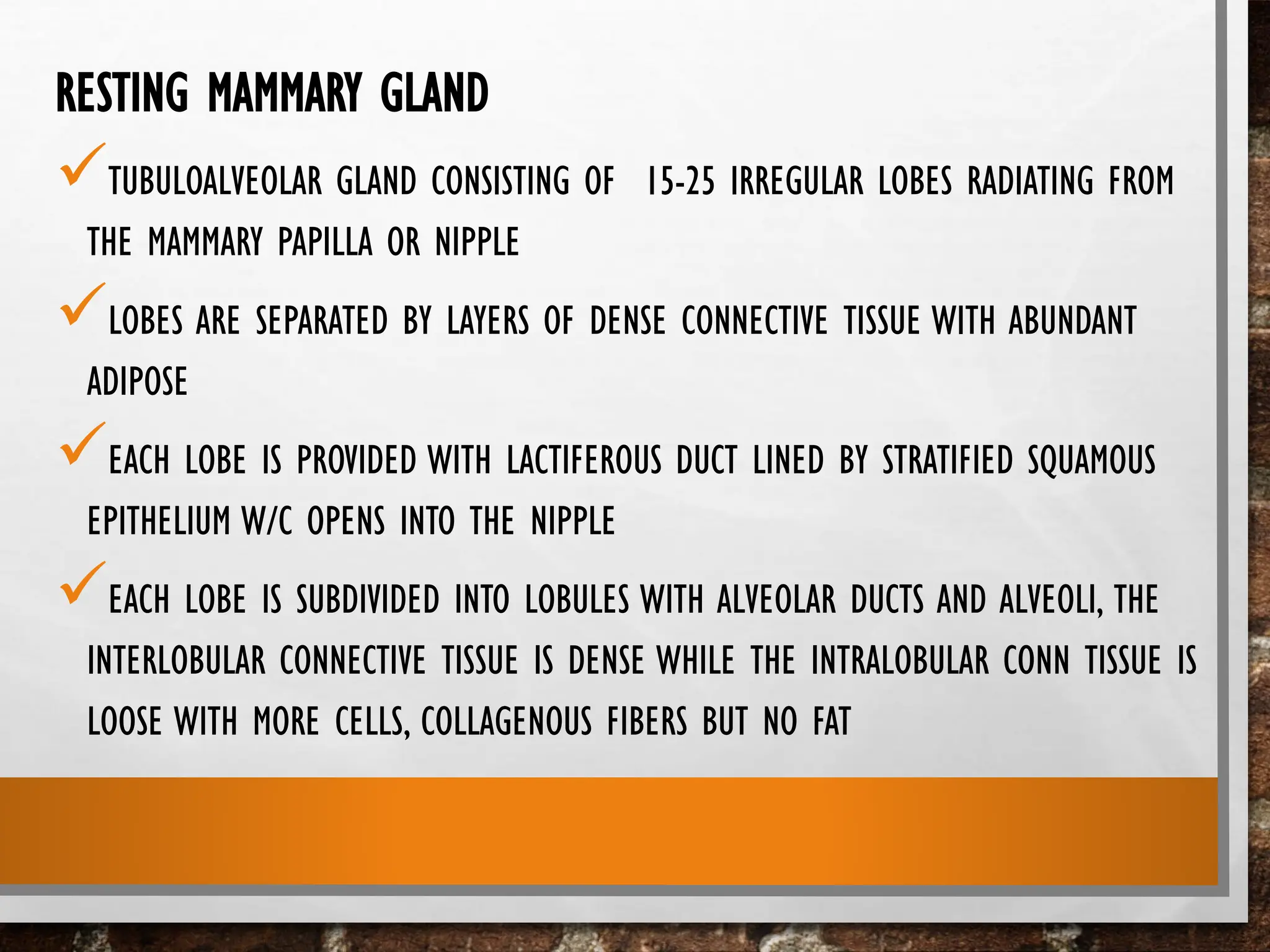 Mammary-Gland lecture-lab histology .pdf