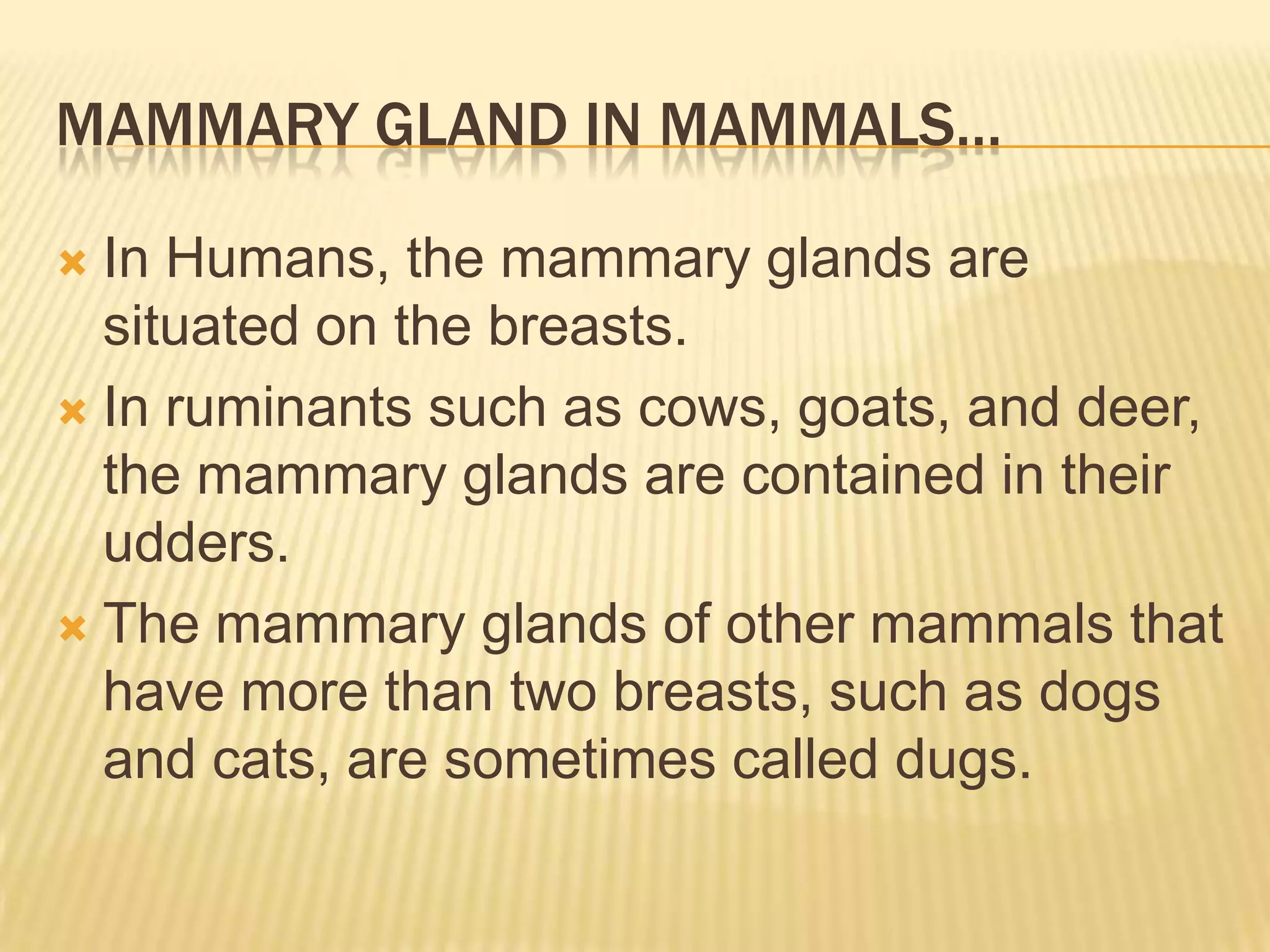 Mammary gland | PPTX