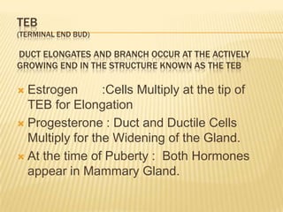 Mammary gland | PPTX