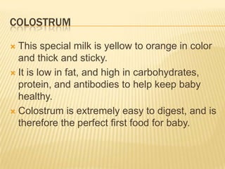 Mammary gland | PPTX