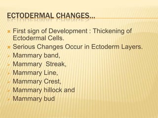 Mammary gland | PPTX