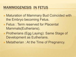 Mammary gland | PPTX