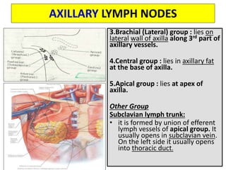 Mammary Gland.ppt