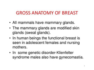 Mammary Gland.ppt