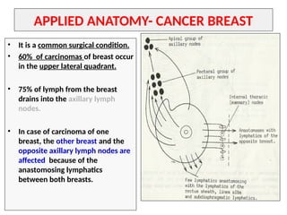 1. MAMMARY GLAND structure anatomy .ppt