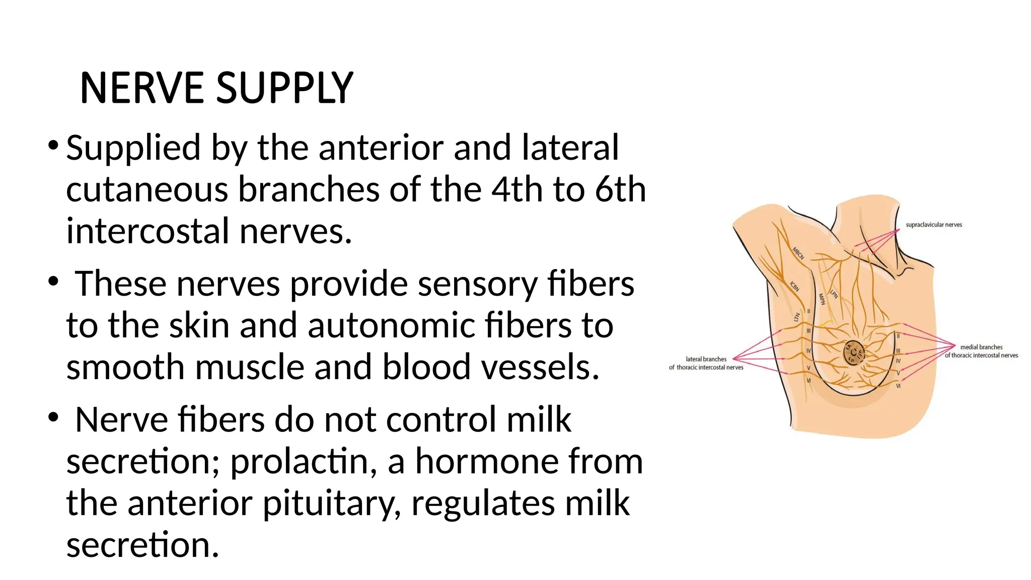 Anatomy of mammary gland presentation by Dr Ela kinra | PPTX